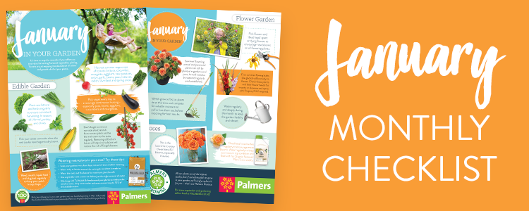 January Checklist Collection