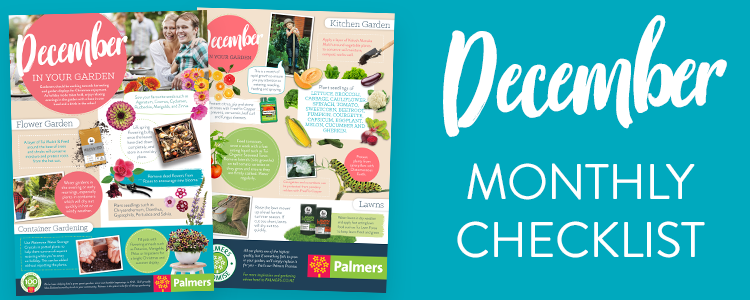 December Checklist Collection