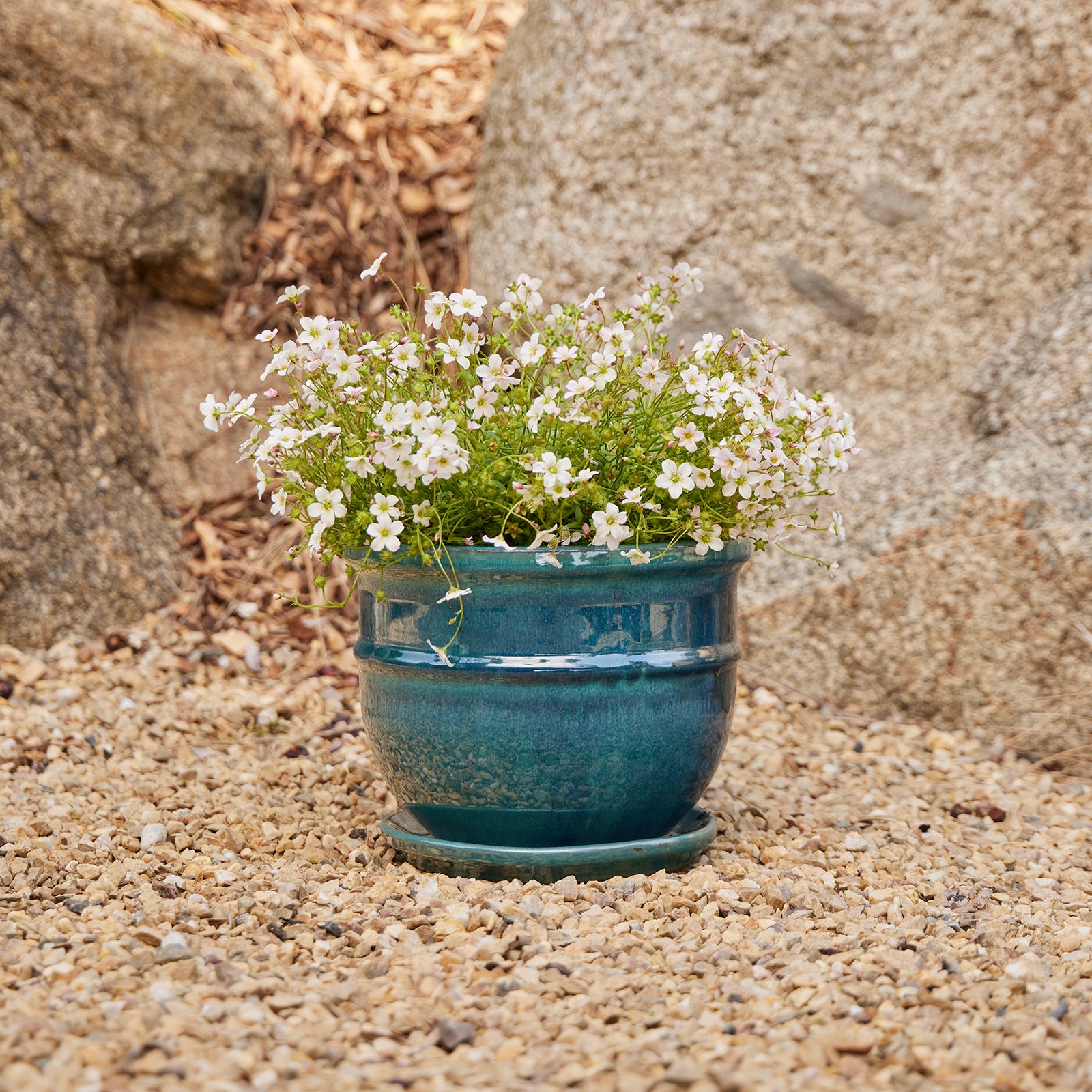 Belly Pot with Saucer - Green S