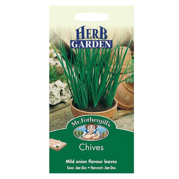 Chives Seed