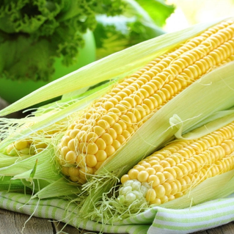 Sweet Corn Sugar Sweet Vegetable Punnet